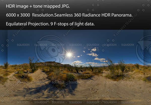Texture 360 panorama desert