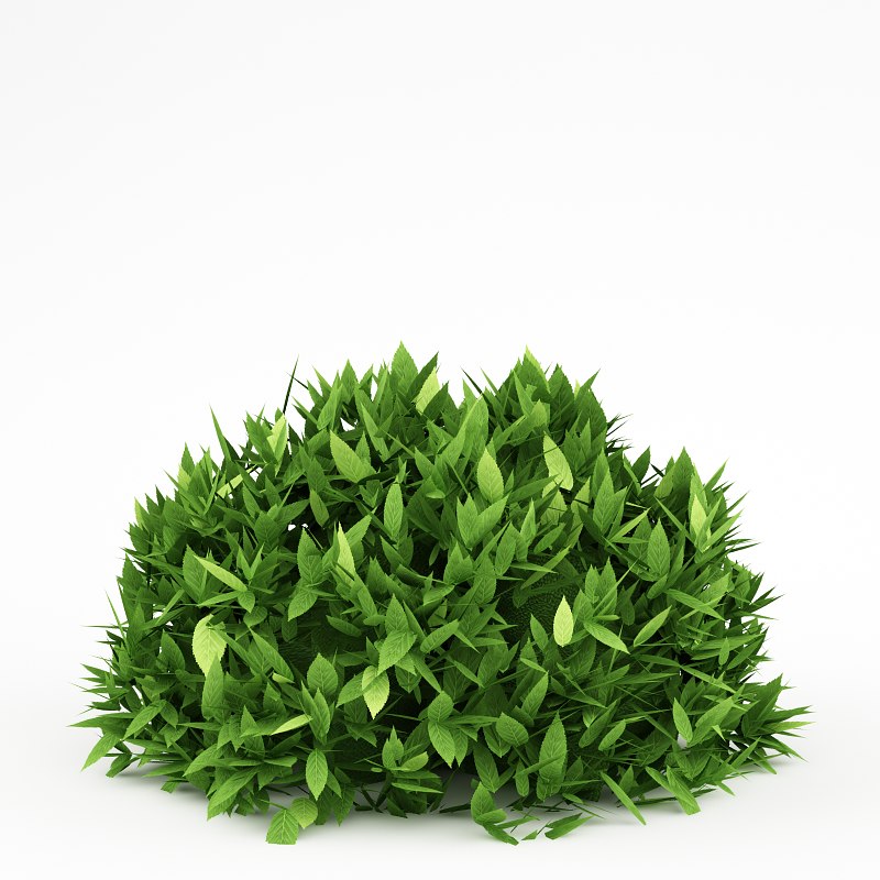 bush 3d model