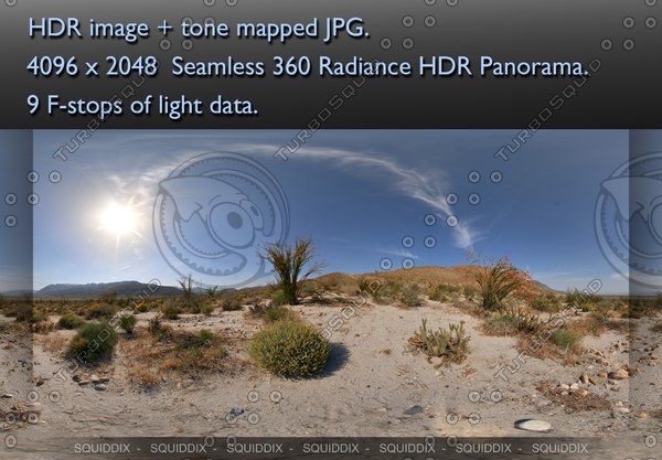 Texture 360 panorama desert