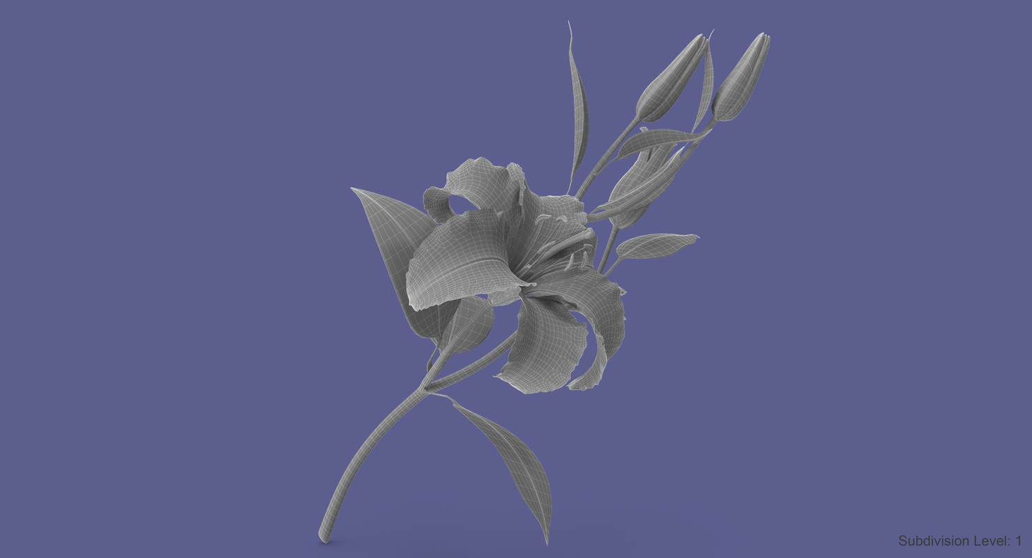 3d model of lily modeled petal