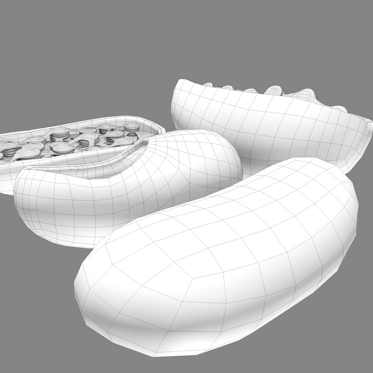 chloroplast 3d obj