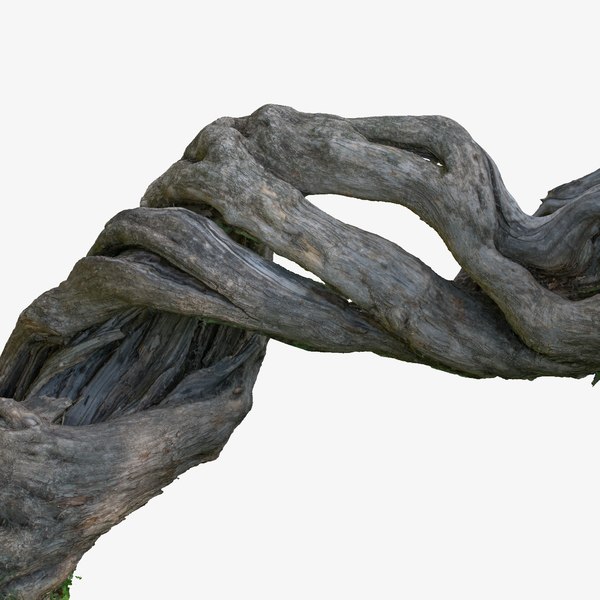 twisted cracked tree trunk 3d model
