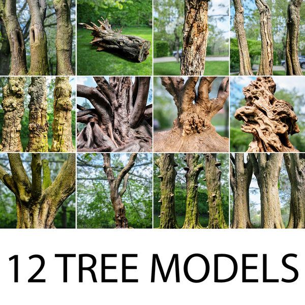 3d human face relief tree stump model