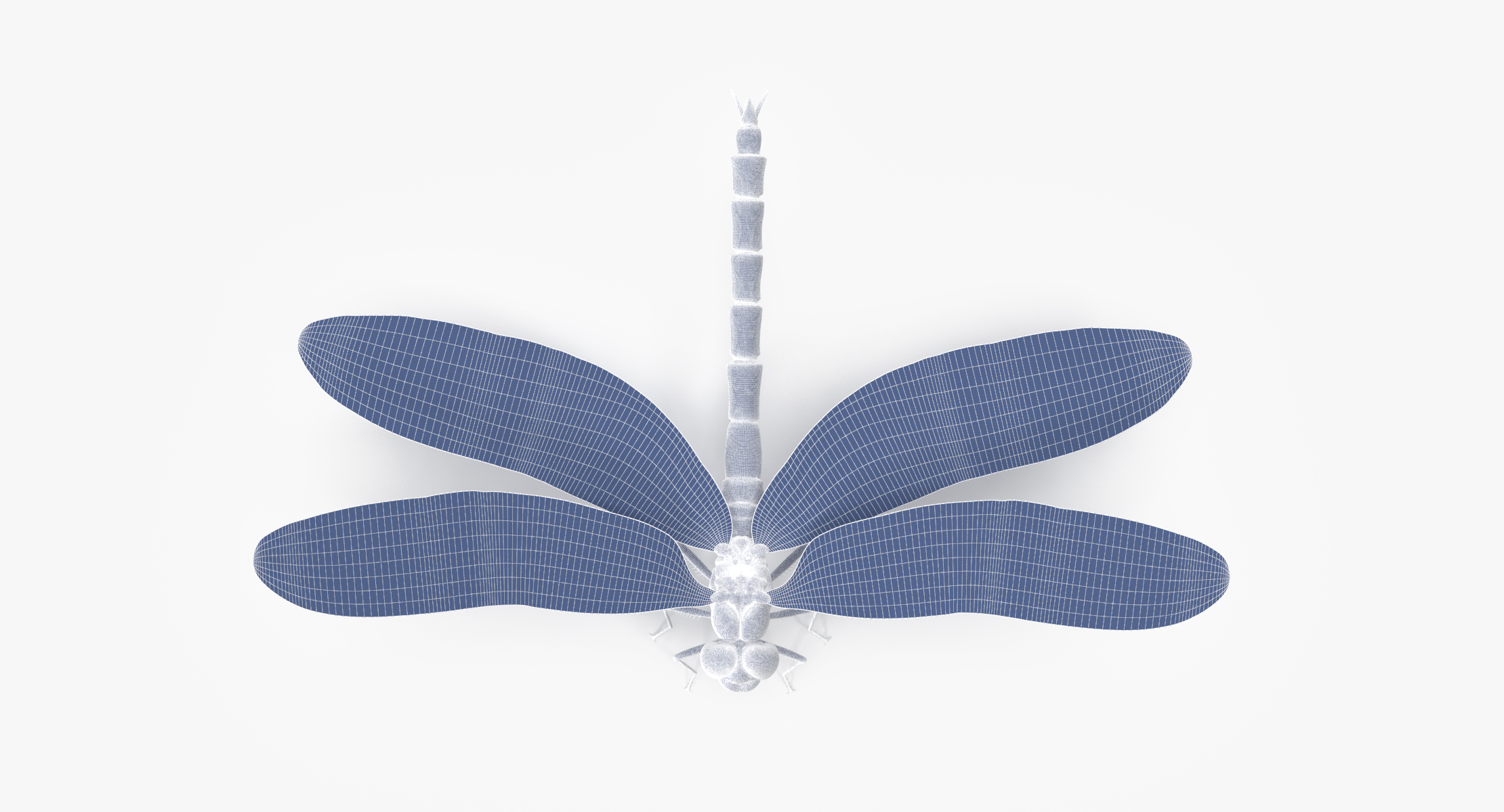 3d dragonfly rigged model