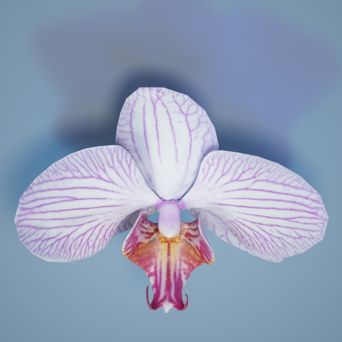 3d model of orchid flower