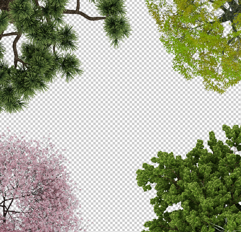 Texture PNG tree top view