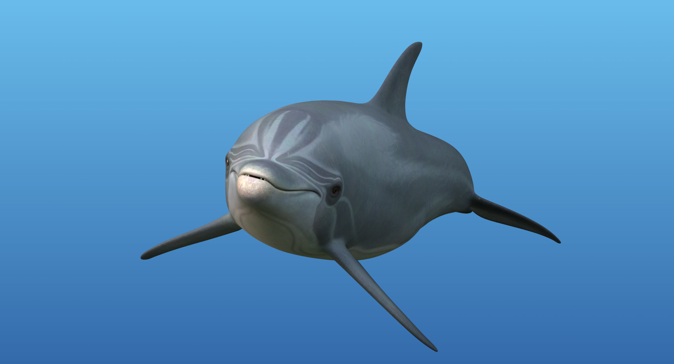 Dolphin Rigged3D模型 - TurboSquid 711547