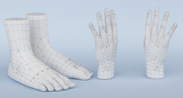 hand foot anatomy 3d model
