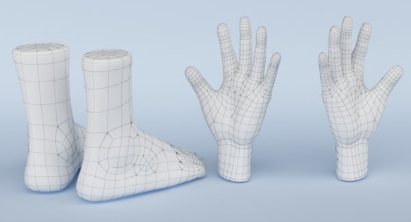 hand foot anatomy 3d model