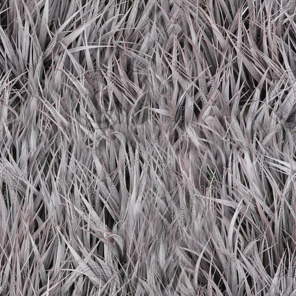 Texture JPEG red grass texture
