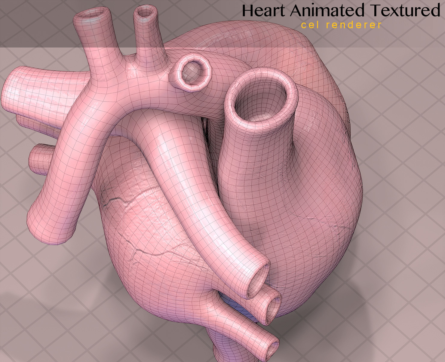 3d heart cycle animation