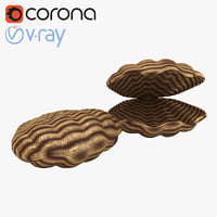 Clamshell 3D Models for Download | TurboSquid