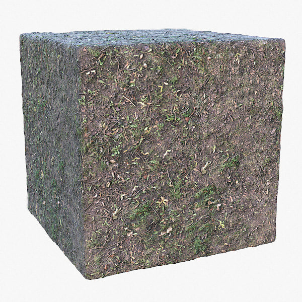 Texture Targa grass sparse photogrammetry