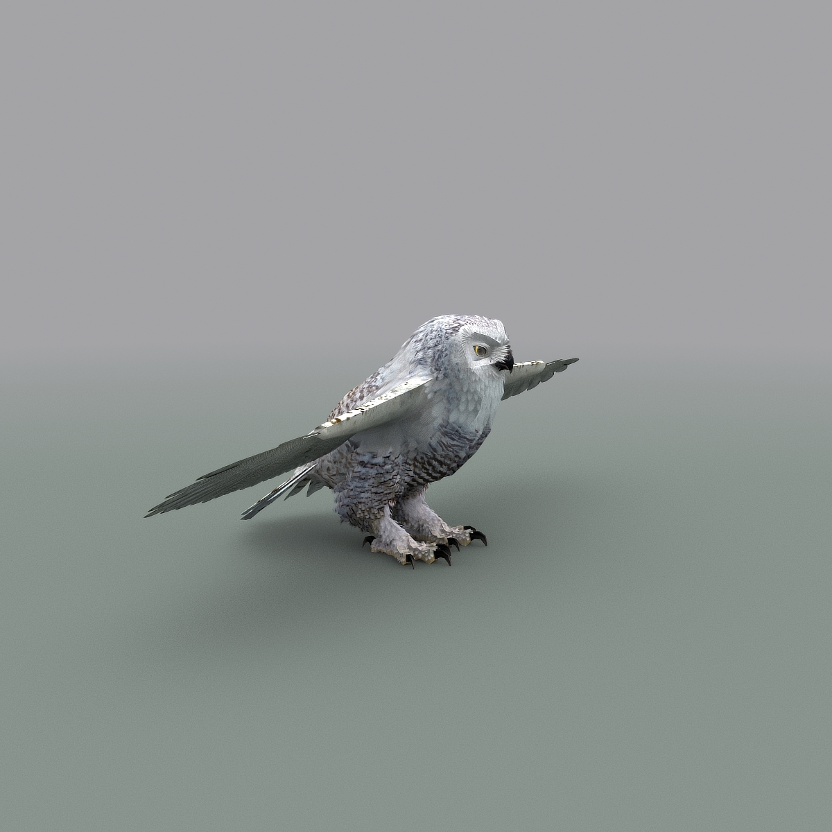 snowy owl 3d model
