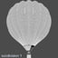 3d air baloon