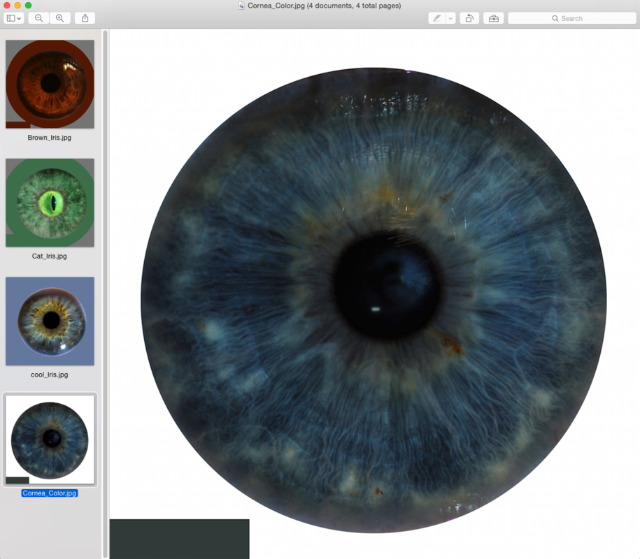3ds eyeball eyes