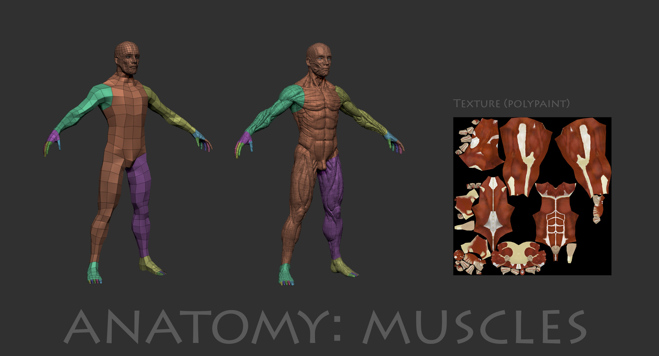 zbrush body 3d max