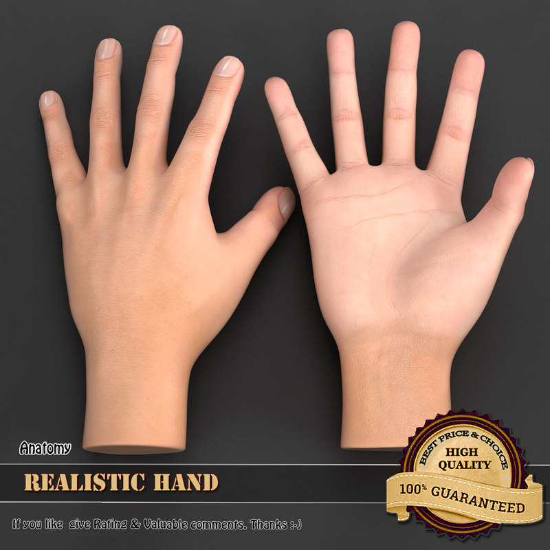 hand realistic 3d model