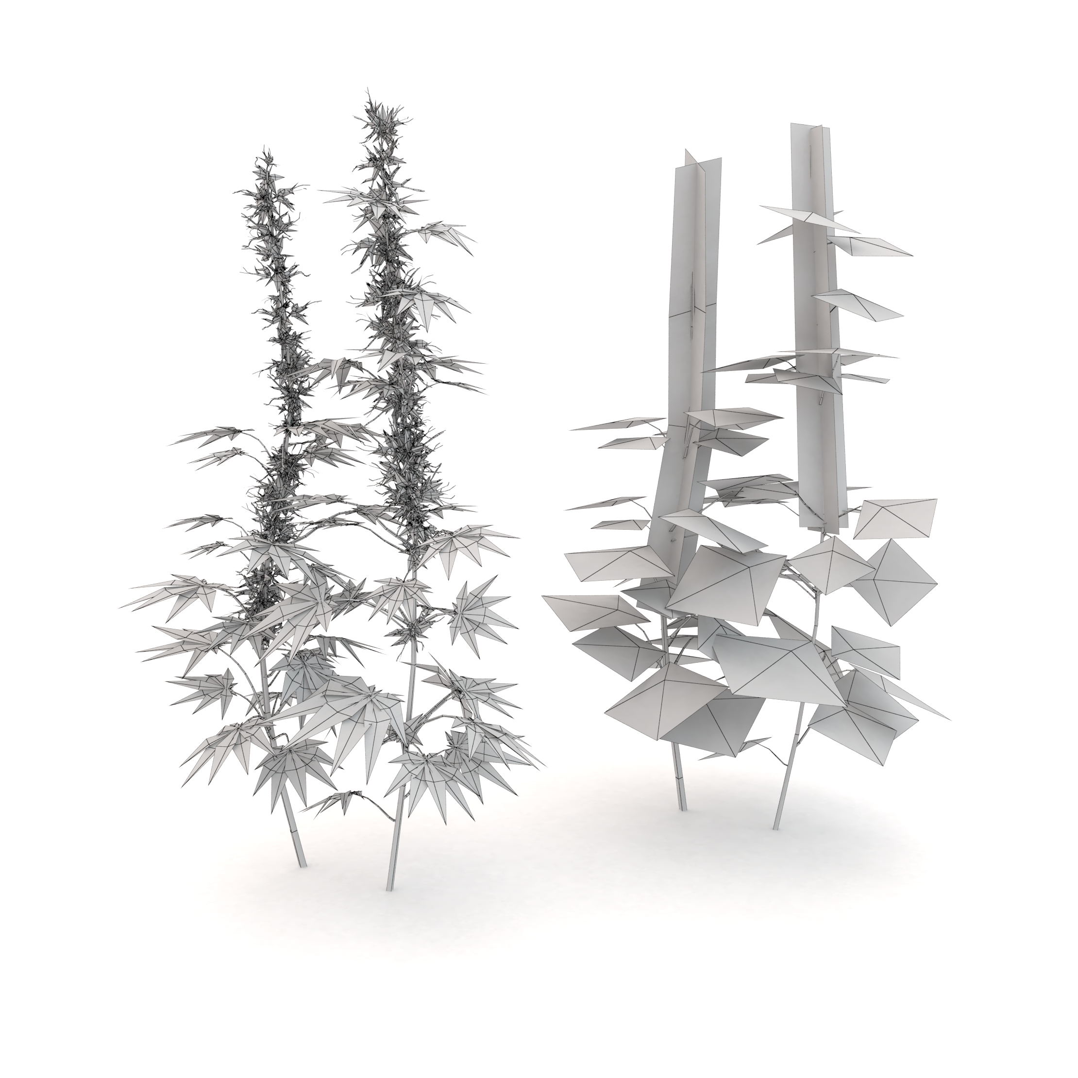 plant 010 cannabis 3d model