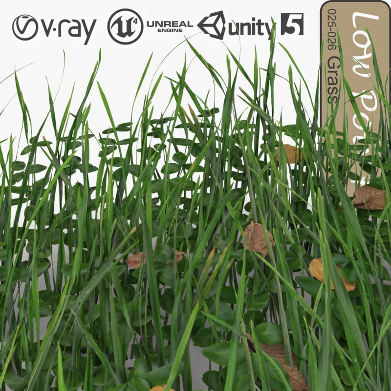 3ds max grassy plant grass 011