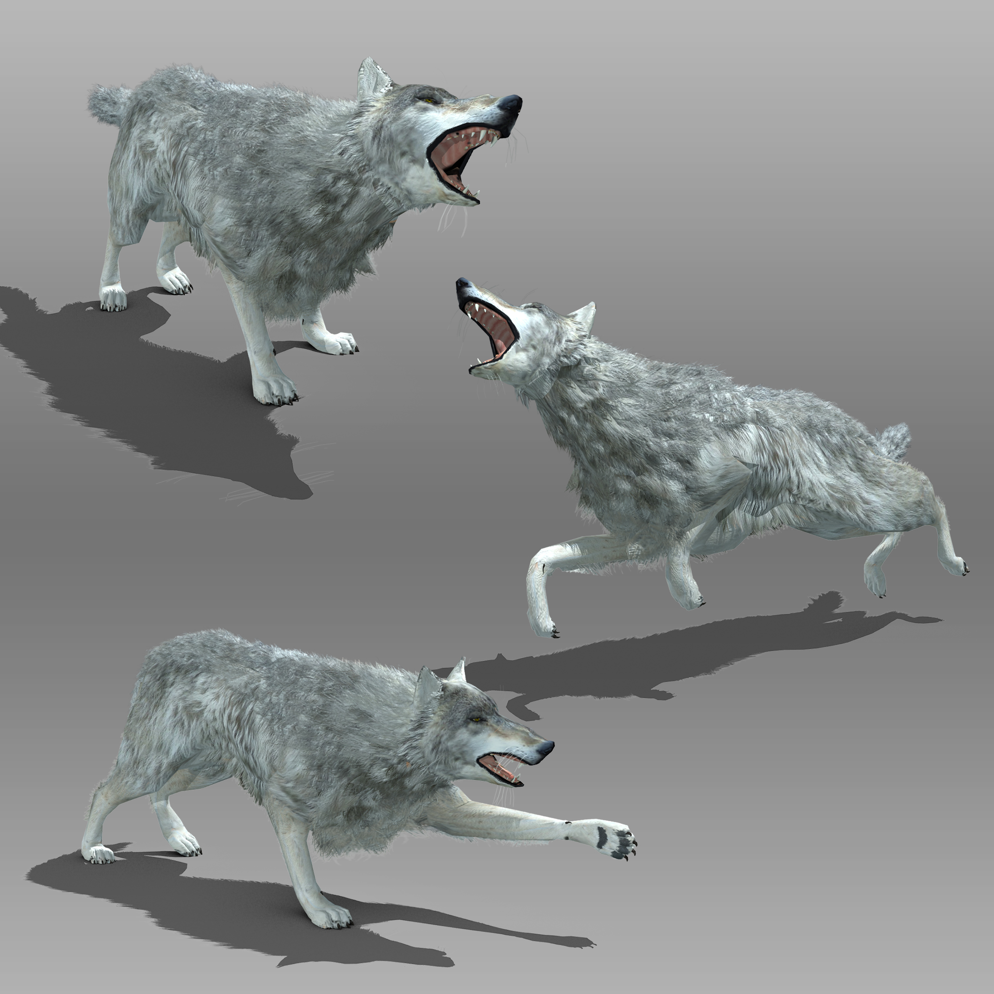 3ds max timber wolf animations