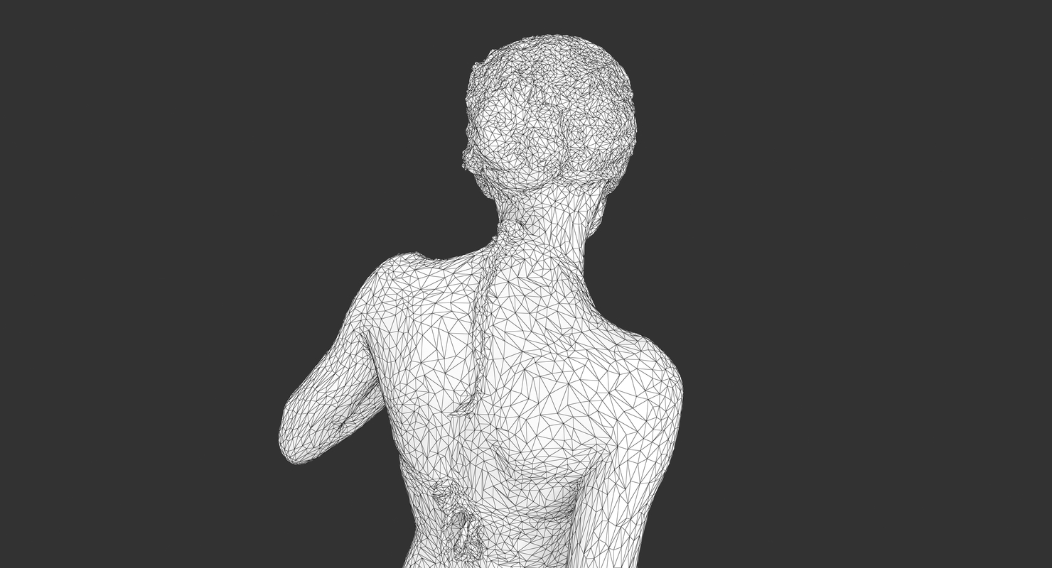 3d model human body