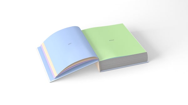 Shapes Adobe Illustrator book