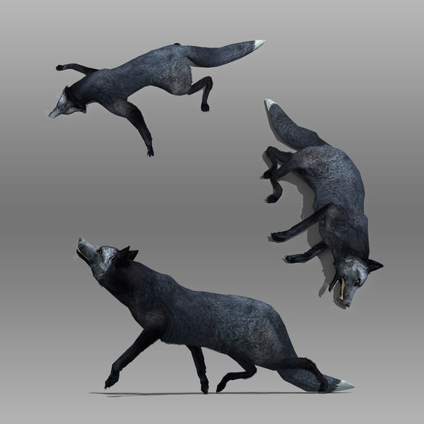 3d red fox animations