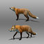 3d red fox animations