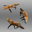 3d red fox animations
