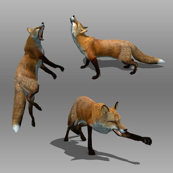 3d red fox animations