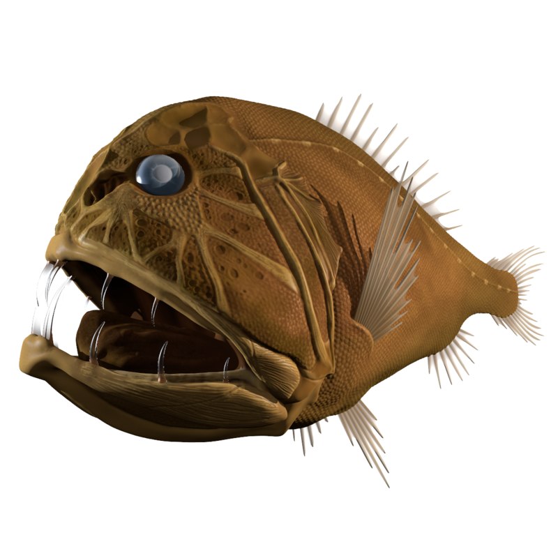 3d fangtooth fish model