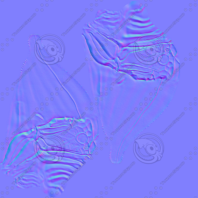 3d fangtooth fish model