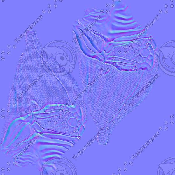 3d fangtooth fish model