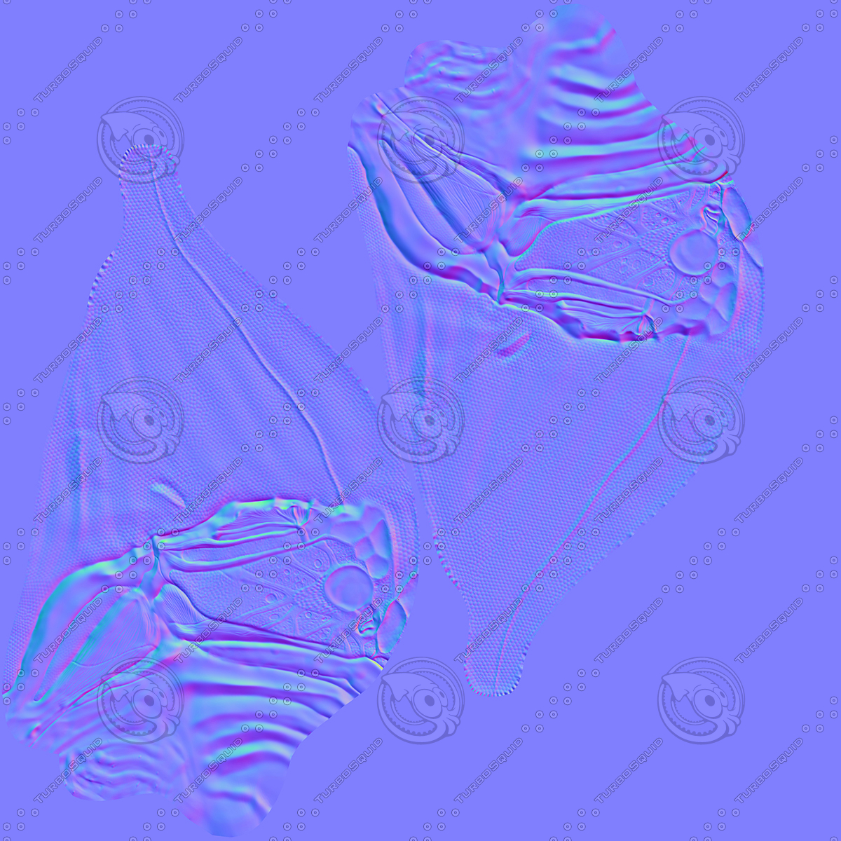 3d fangtooth fish model