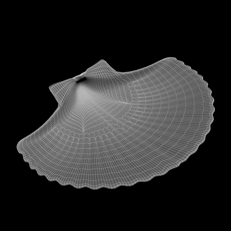 3d shell