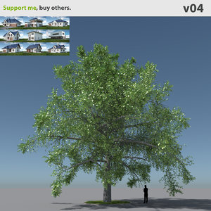 Free Blender Tree Models | TurboSquid