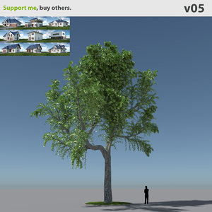Free Blender Tree Models | TurboSquid