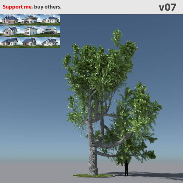 Free 3D Background Models | TurboSquid