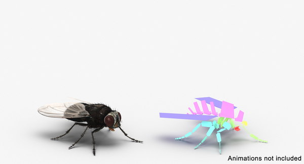 3D model insects big rigged - TurboSquid 1230175