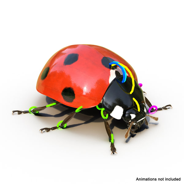 3D model insects big rigged - TurboSquid 1230175