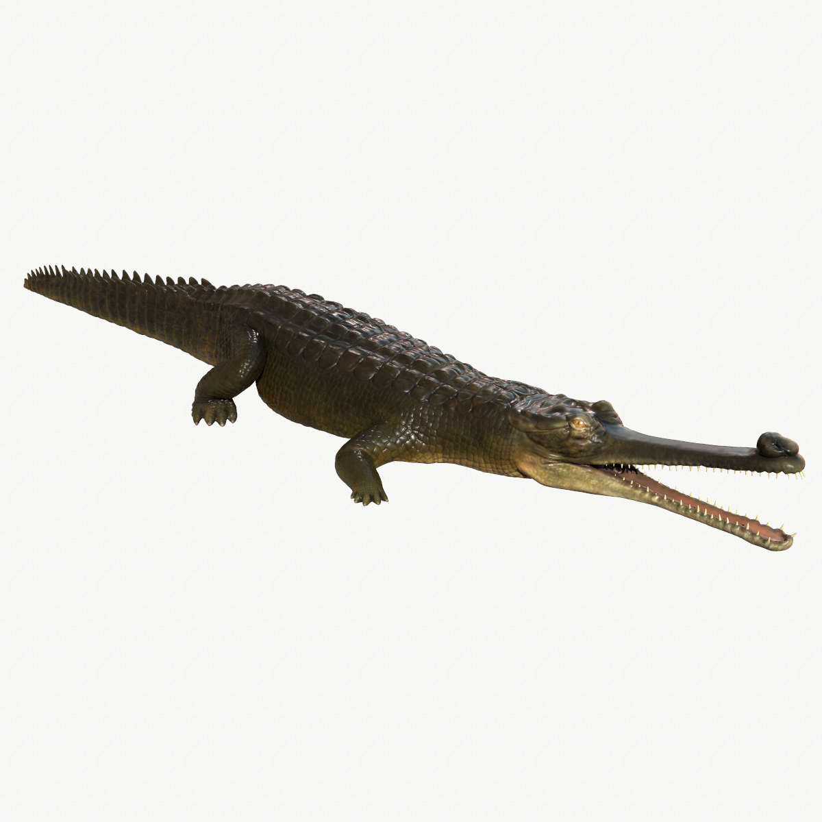 Crocodile Technology 3d License Code - yellowaurora