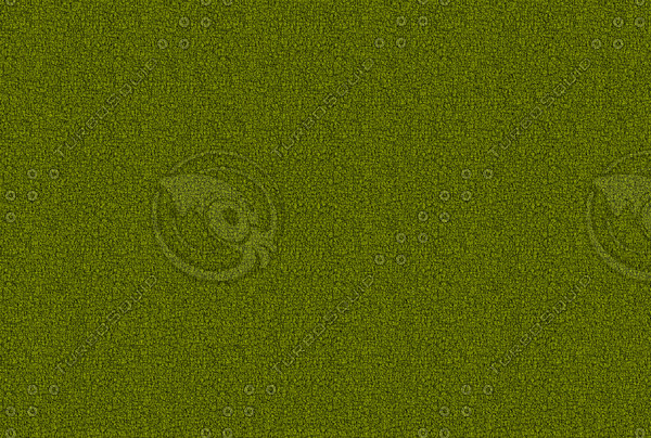 Texture JPEG flowers plant grass