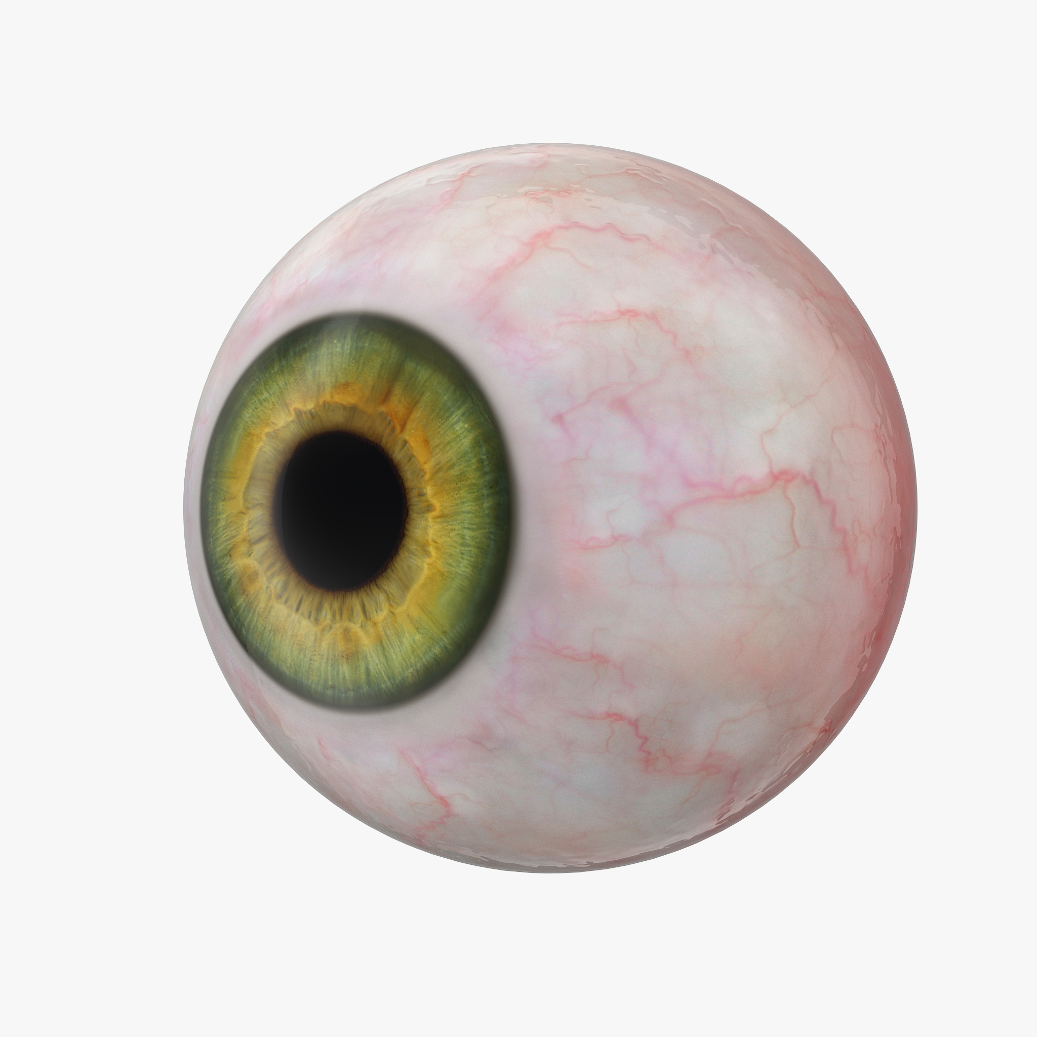 Realistic human green eye 3D model - TurboSquid 1241360