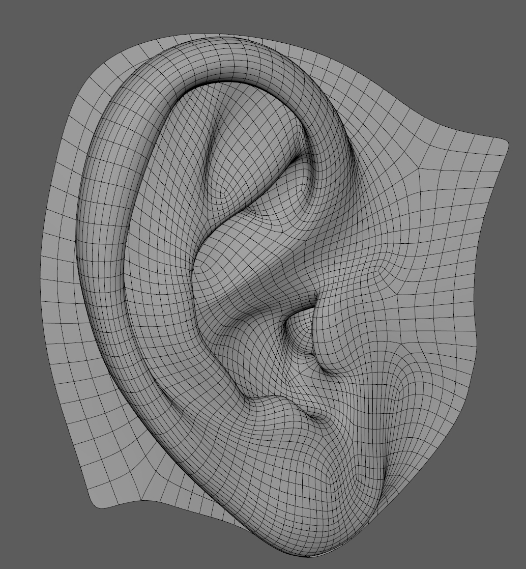 Ready ear human 3D model - TurboSquid 1247873