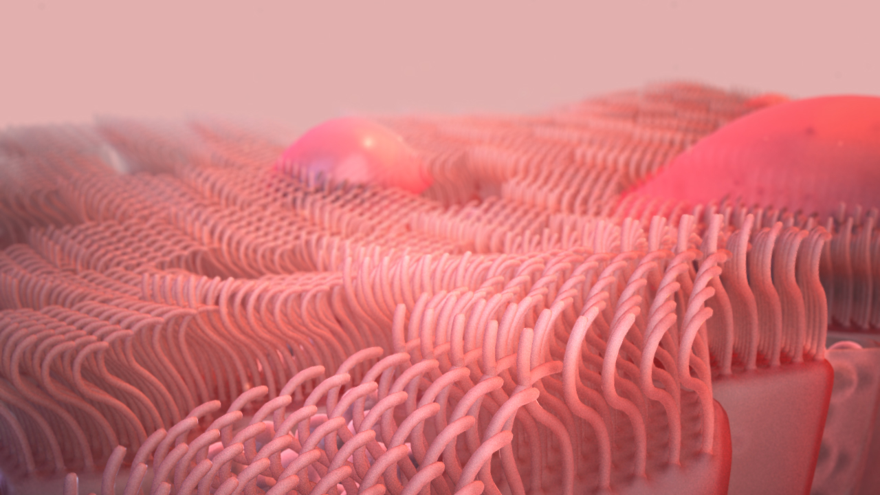 Ciliated cells 3D model - TurboSquid 1248083
