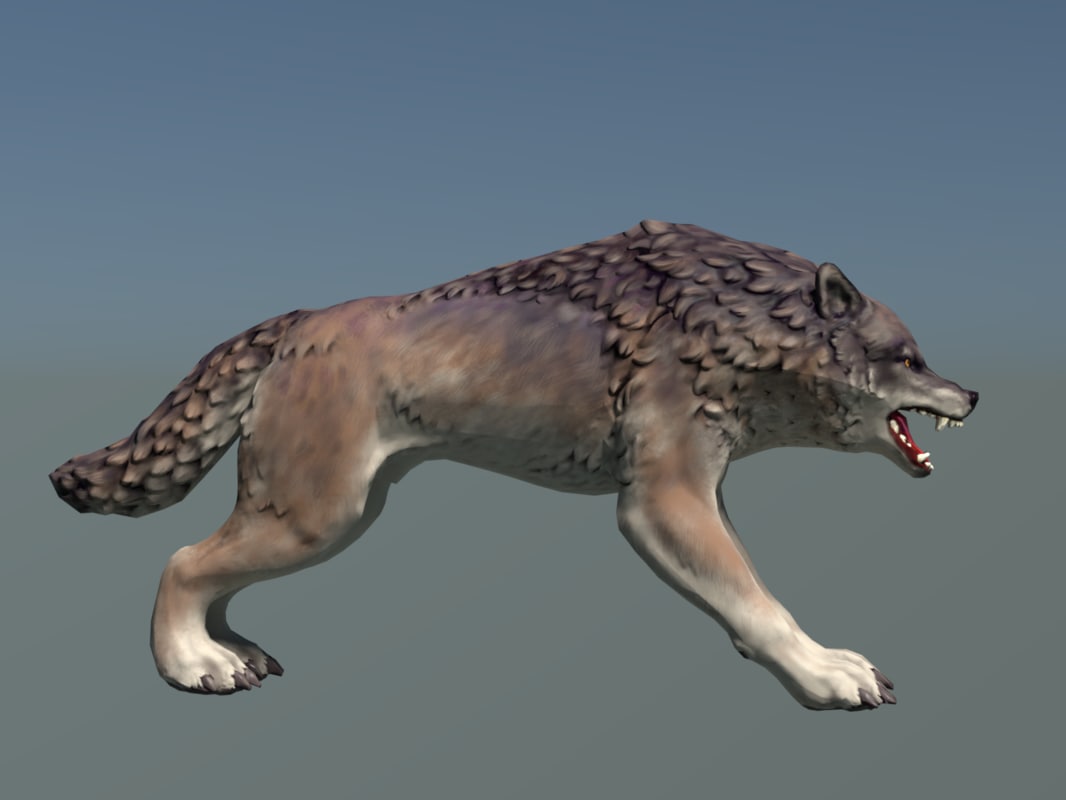 3D model wolf - TurboSquid 1248145
