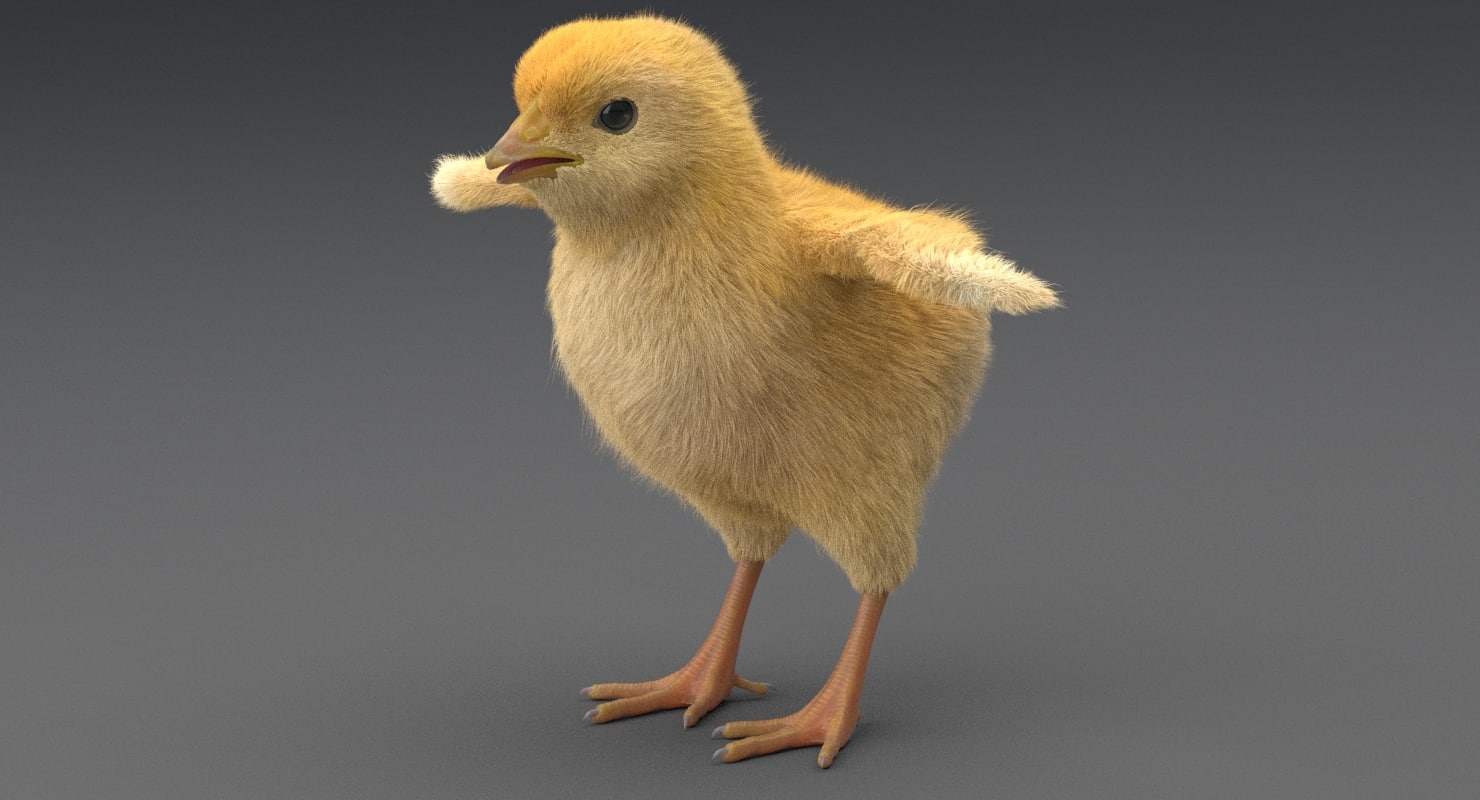 3D chick model - TurboSquid 1242669