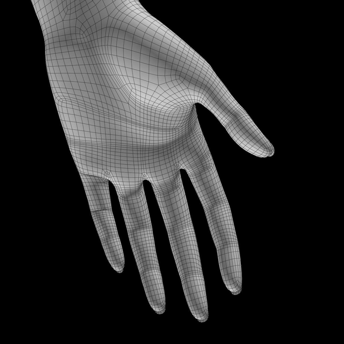 Mesh female s hand 3D model - TurboSquid 1248397