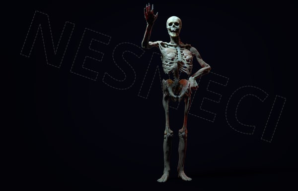 Zombie skeleton 4k rig 3D - TurboSquid 1249002